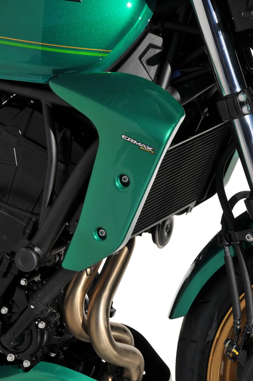 Ermax transforma a Kawasaki Z650RS em Cafe Racer - Notícias de ...
