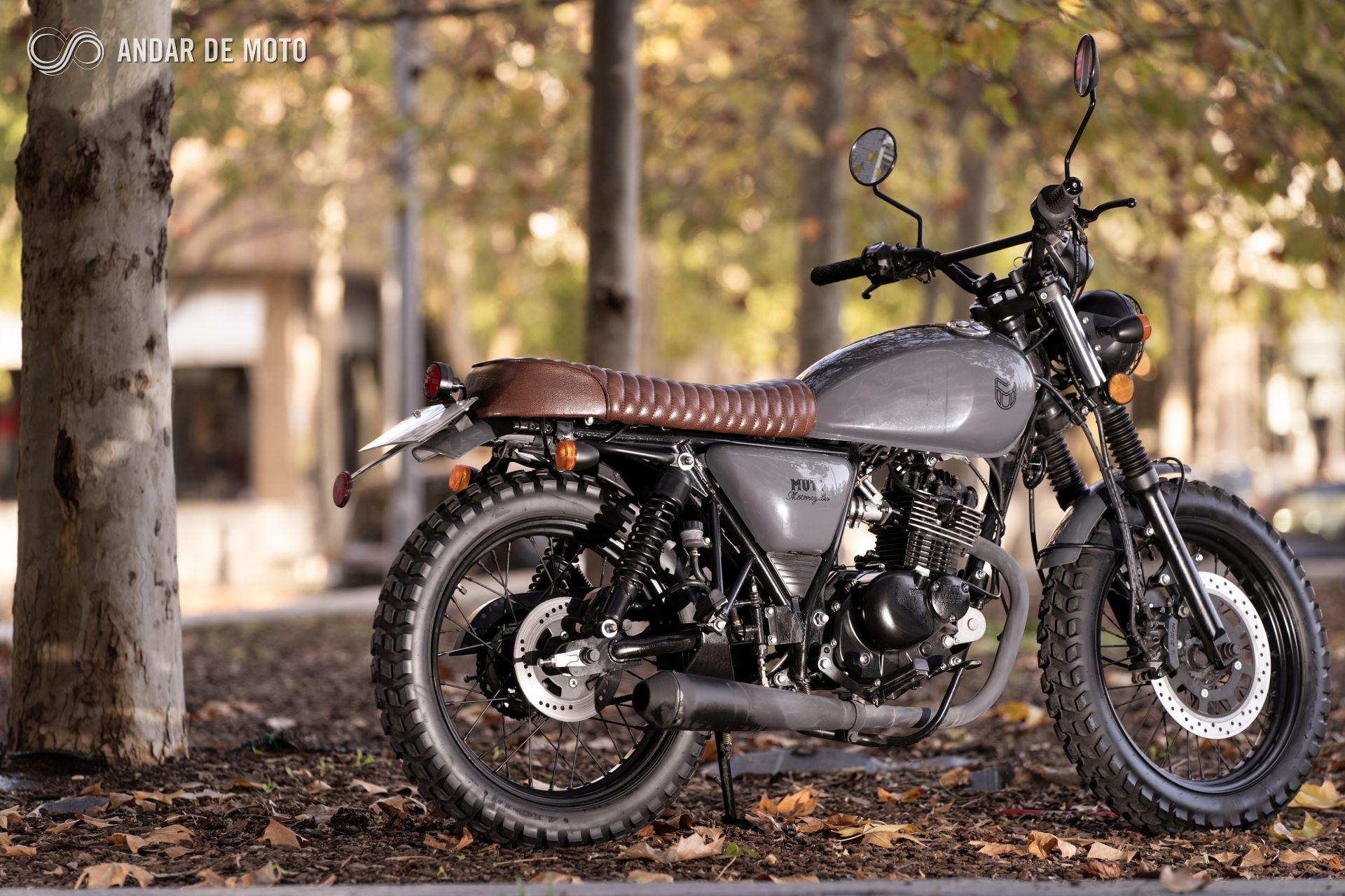 Mutt Motorcycles Hilts 125 / Mongrel 125 - Rafeiras de Raça - Test ...
