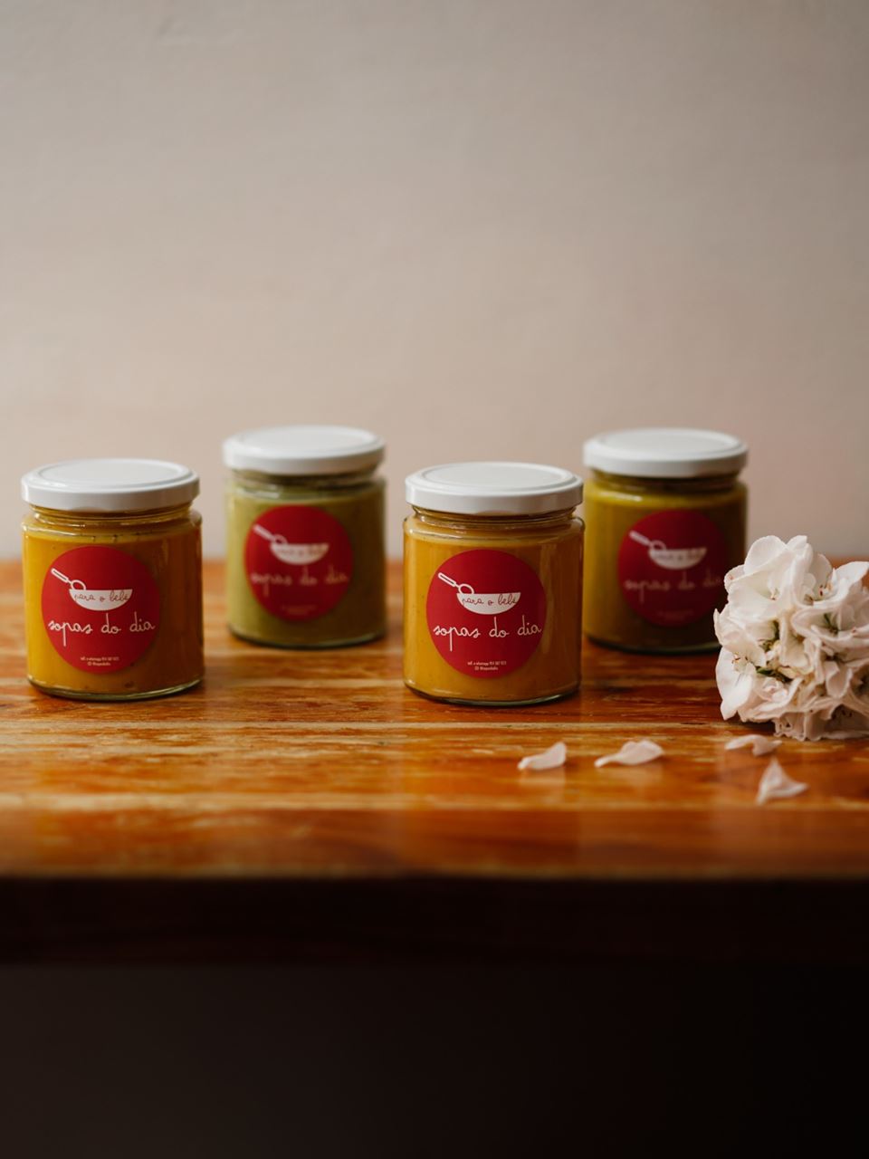 As Sopas do Dia lançam nova gama direcionada para os mais pequenos ...