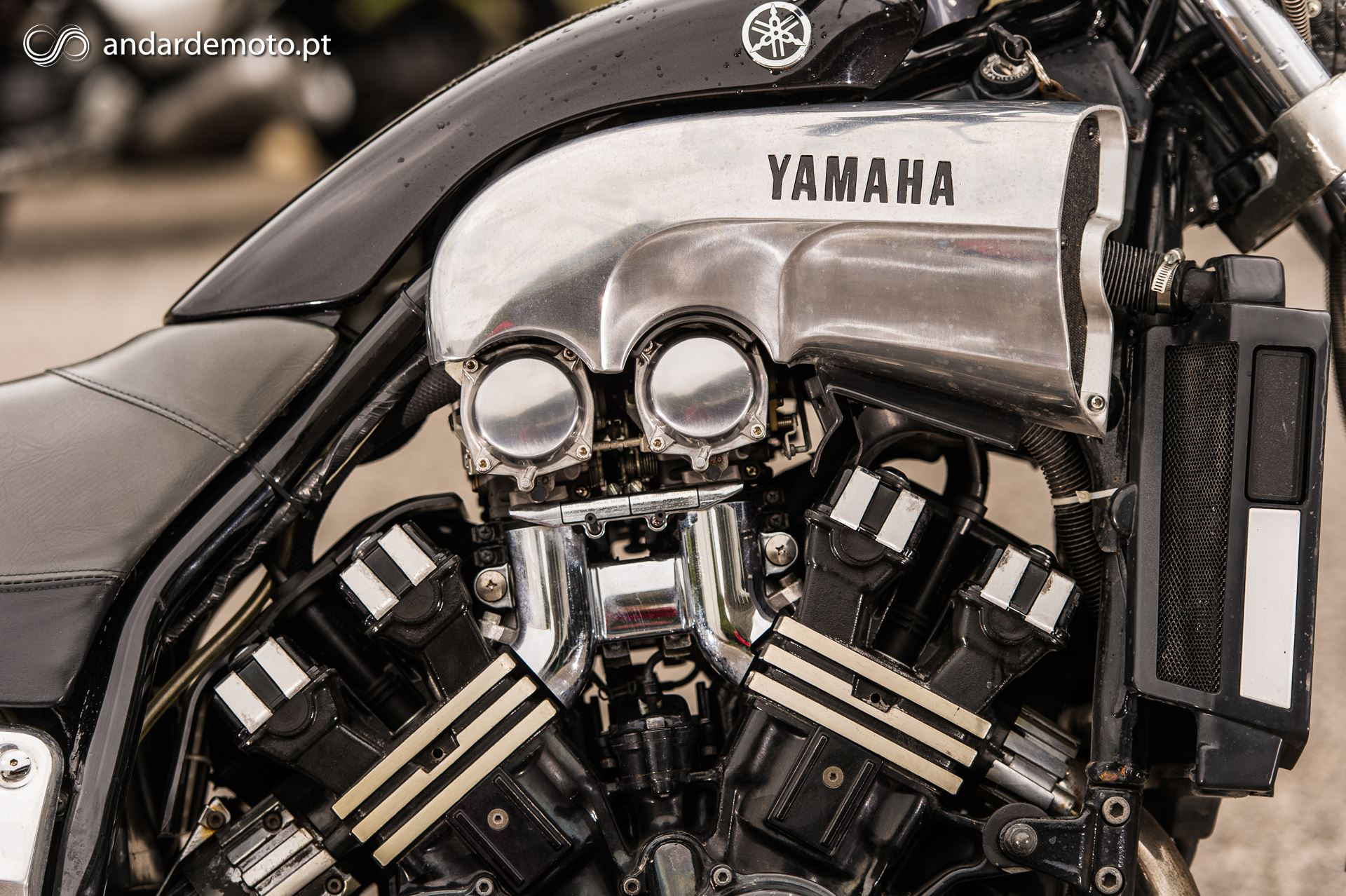 Yamaha V-Max vs Yamaha VMAX - Test drives - Andar de Moto
