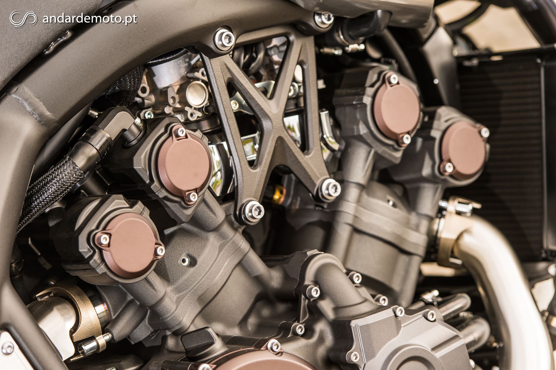 Yamaha V-Max vs Yamaha VMAX - Test drives - Andar de Moto