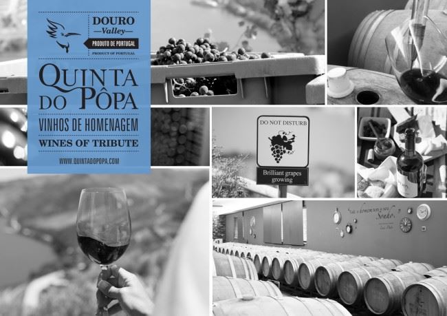 Enoturismo no Douro: Quinta do Pôpa desafia-o com programas de Inverno ...