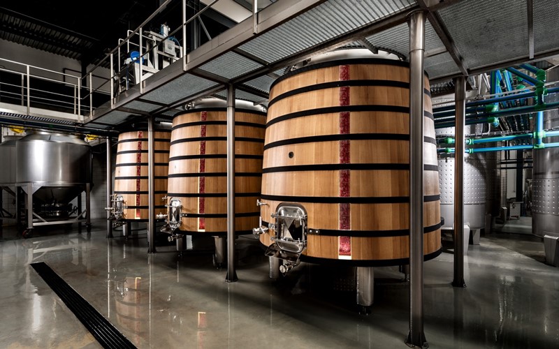 2000 anos de história do vinho na Vidigueira - Proposta da Ribafreixo ...