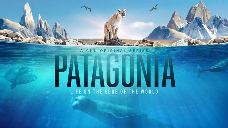 Odisseia estreia "Patagónia, vida nos confins do mundo" - Cinema e TV ...