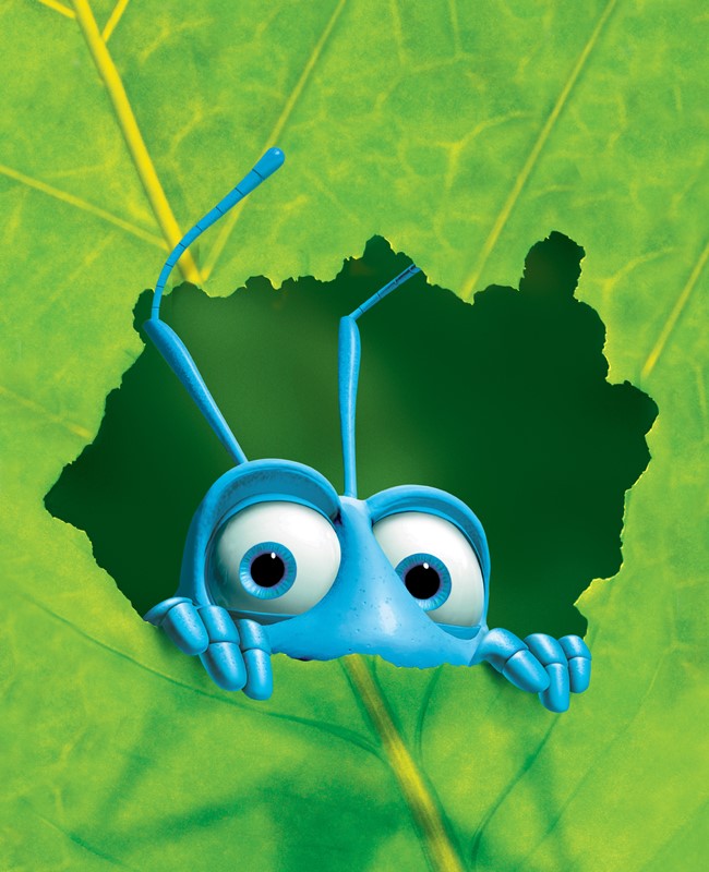"Uma Vida de Insecto" - Uma divertida aventura a não perder no Disney ...