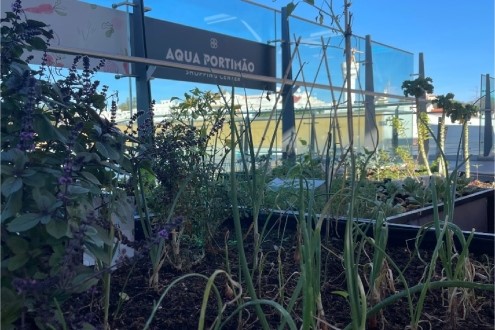 Aqua Portimão celebra 1.º aniversário da sua horta urbana - Outdoor e ...