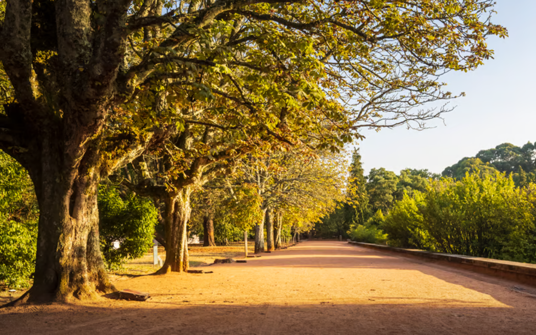 Fonte Jacques Gréber regressa a Serralves 40 anos depois - Peça ...